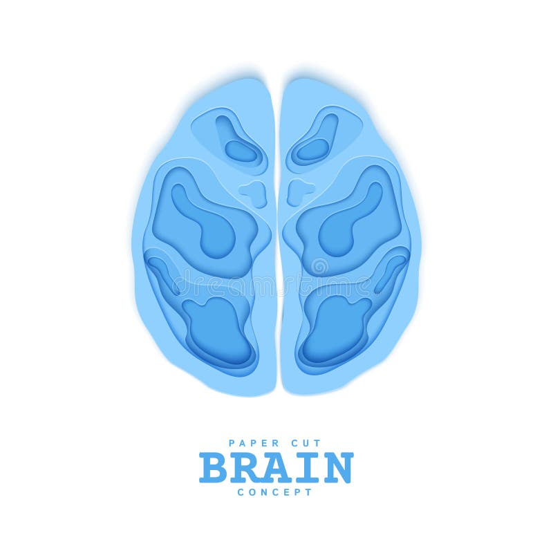 Section of the Human Brain in Papercut Style. Blue Cardboard Cutting ...