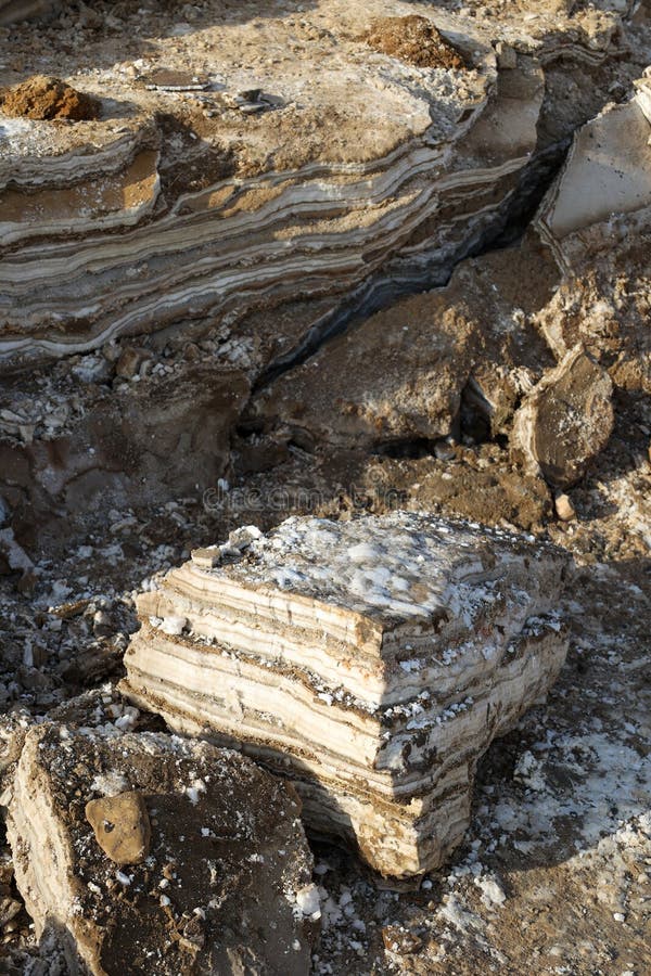 Section of Large Piece of Salt on Dead Sea Shore Stock Photo - Image of ...