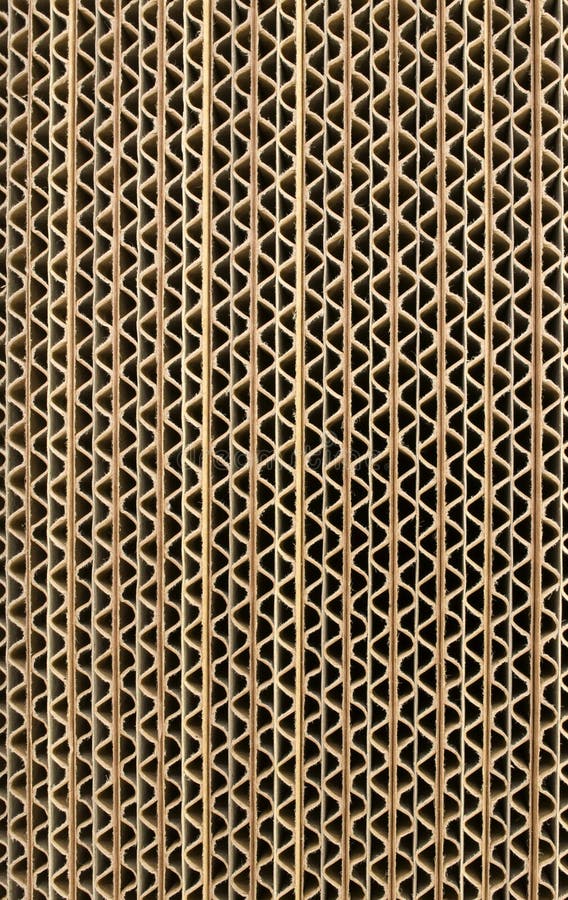 Section of Packing Cartons, Close Up on the Internal Structure of the ...