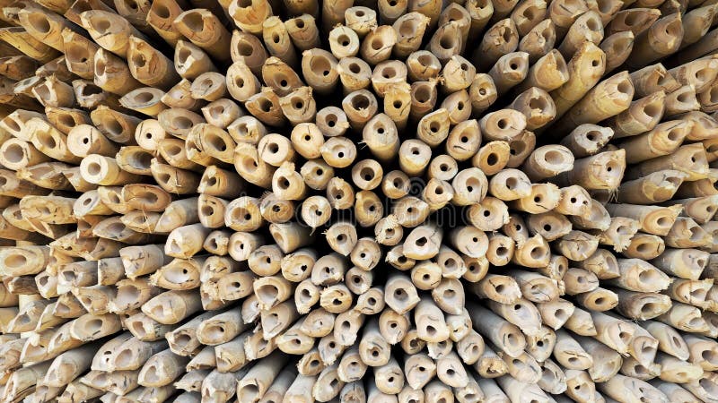 Section part of bamboo stock image. Image of wood, wooden - 64804073