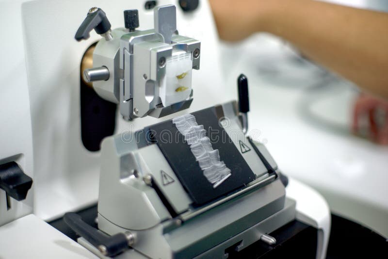 Section Rotatoire De Microtome Photo stock - Image du désordres ...