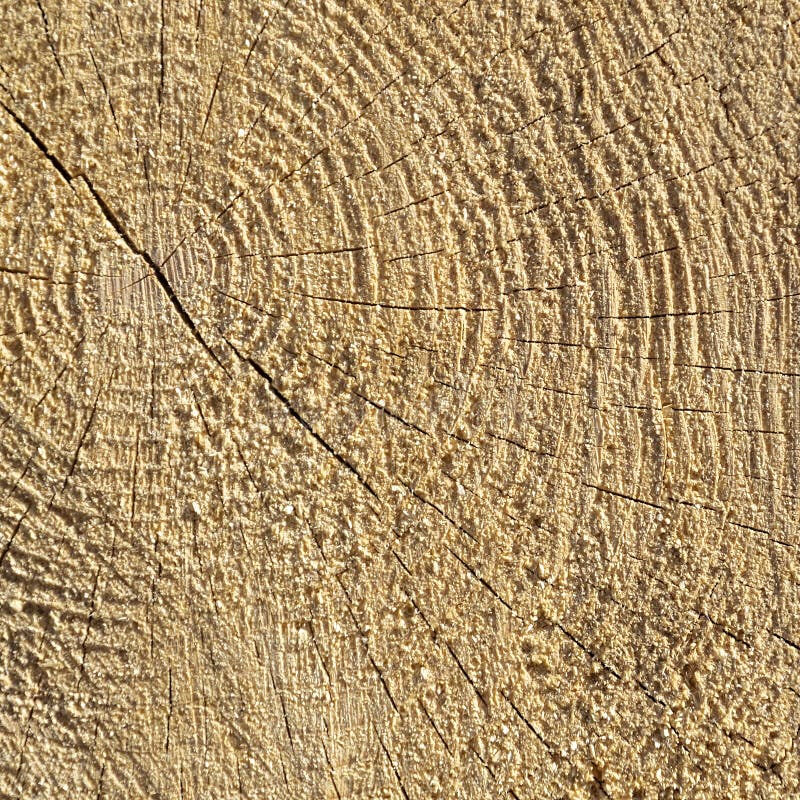 Sawn wood texture stock image. Image of pine, horizontal - 215316623