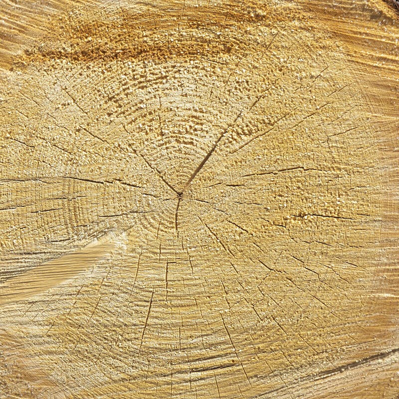 Sawn wood texture stock image. Image of pattern, industry - 215316649