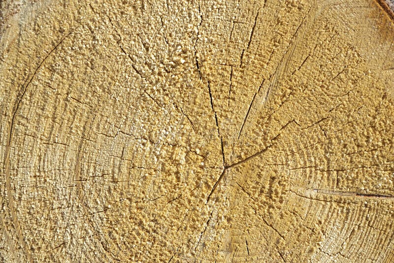 Sawn wood texture stock photo. Image of natural, round - 215862632
