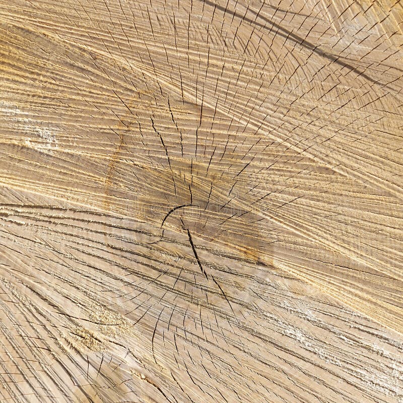Sawn wood texture stock image. Image of background, crack - 216673897