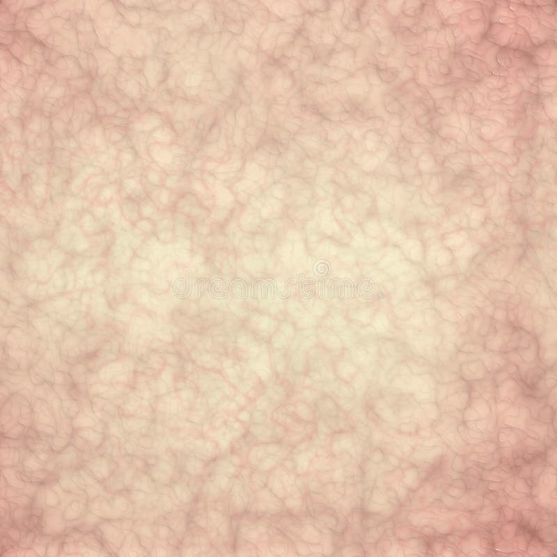 41+ Human body skin anatomy Free Stock Photos - StockFreeImages