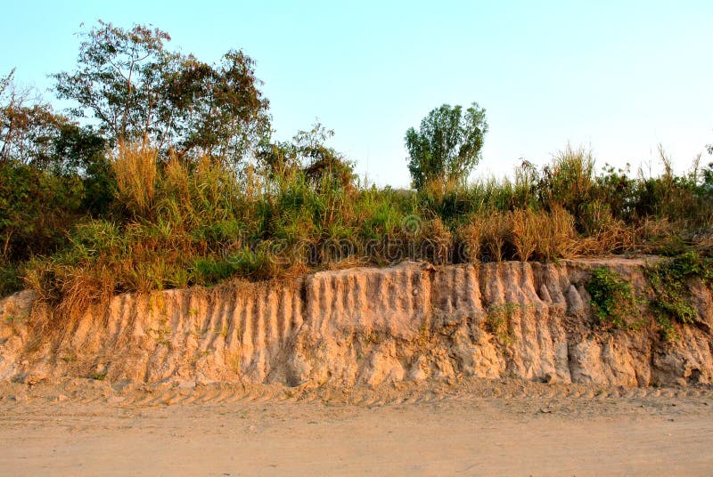 Section of Soil Eroded by Rain Stock Photo - Image of land, green ...