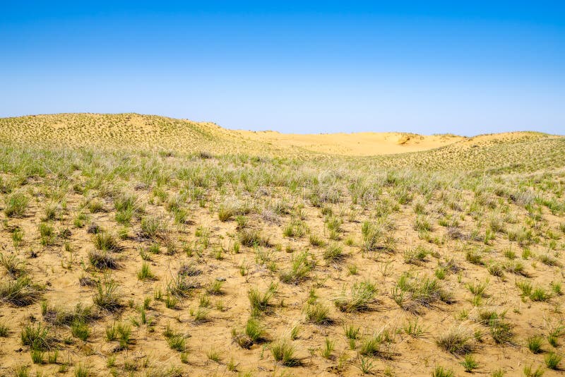 A Section of the Spring Desert with Sand Dunes Stock Image - Image of ...