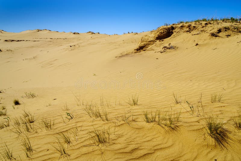 A Section of the Spring Desert with Sand Dunes Stock Image - Image of ...