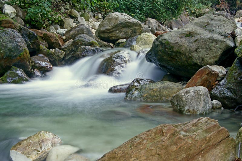 Section of a stream stock photo. Image of wood, streaming - 79737550
