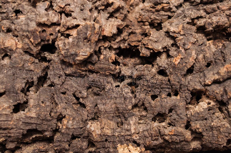 Cork structure stock image. Image of material, flat, structure - 23644677