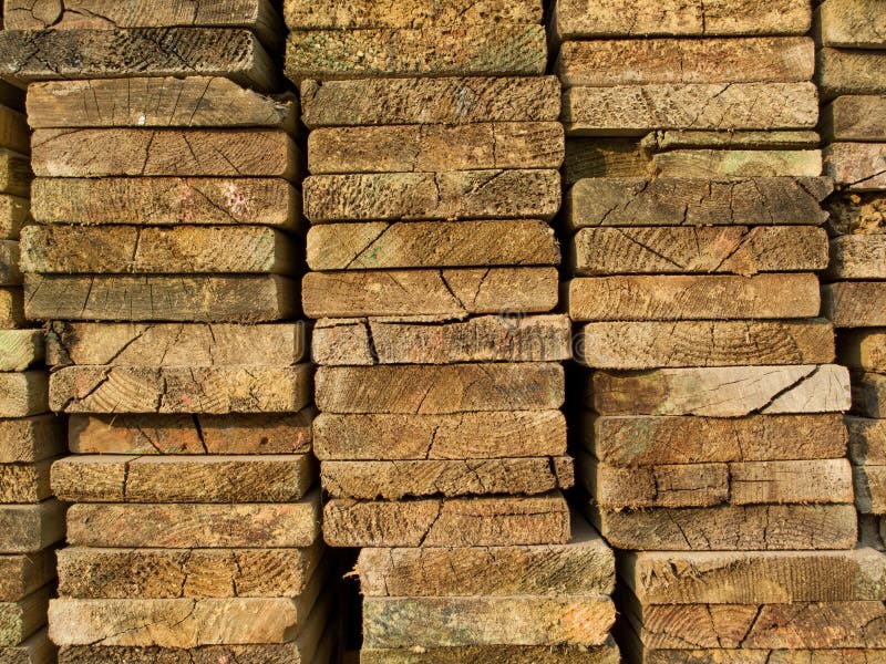 Section Transversale De Bois Photo stock - Image du matériau, fond ...