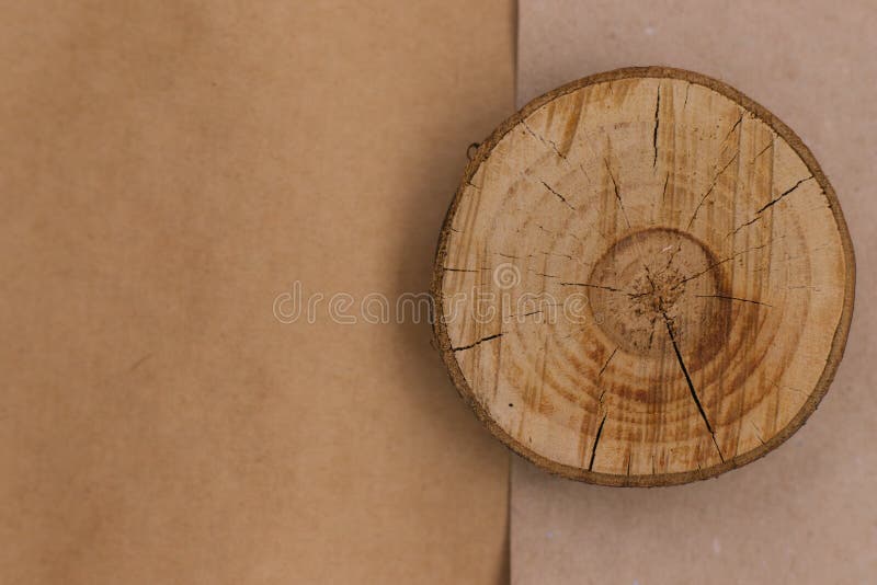 A Section of the Tree Trunk Lies on Two Types of Kraft Paper. Eco ...
