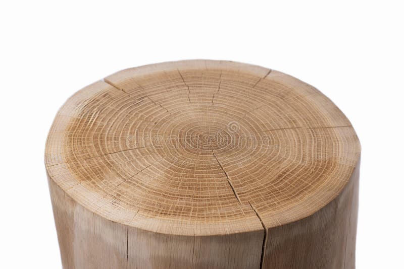 A Section of a Tree Trunk. Oak Cut. a Wooden Stump on a White ...