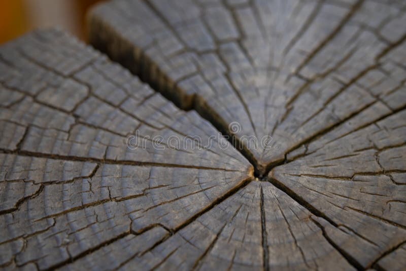 482 Radial Section Wood Stock Photos - Free & Royalty-Free Stock Photos ...