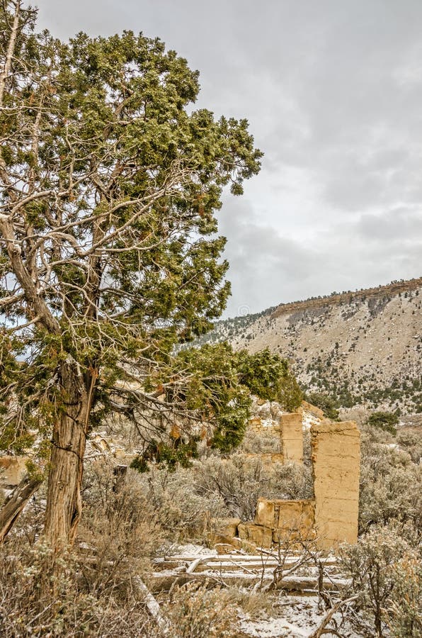 Sections of a Stone Building Stock Image - Image of trees, stone: 50880639