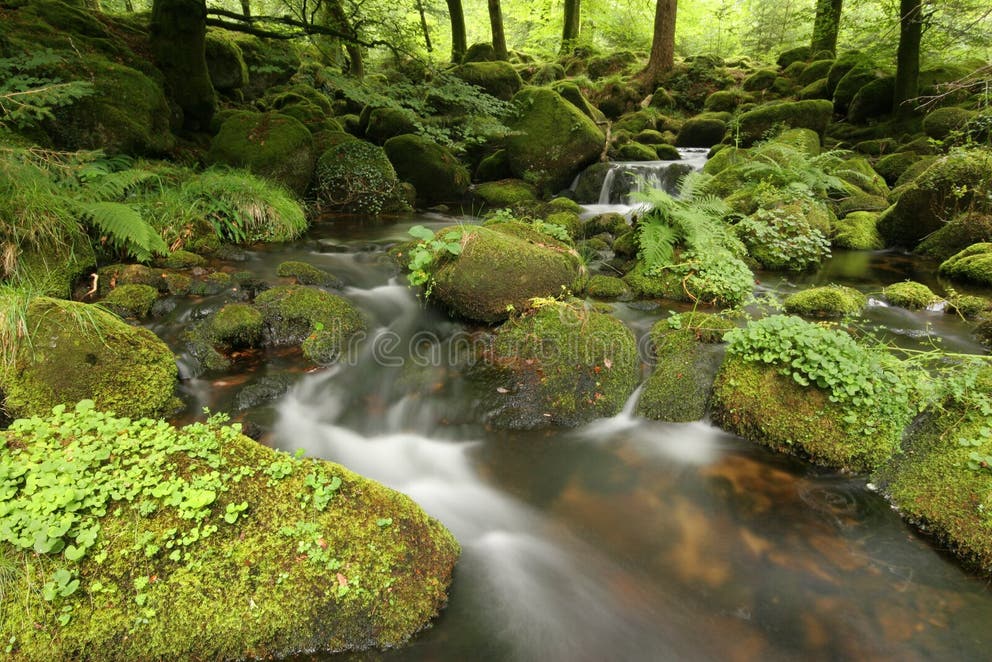 Secuencia de la paramera imagen de archivo. Imagen de travieso - 1612883