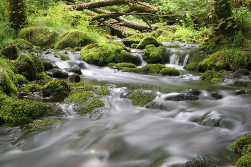 Secuencia de la paramera foto de archivo. Imagen de flujo - 1612958
