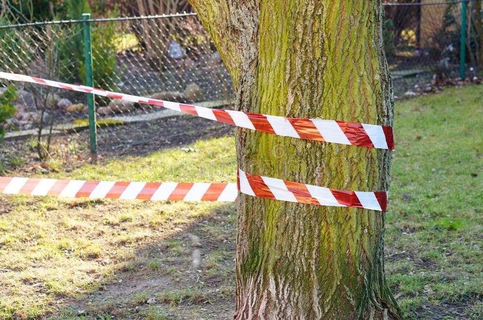 Secured area stock photo. Image of area, white, plastic - 50215398