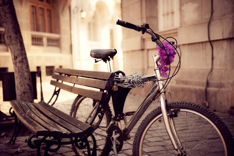 Italian Old-style Bicycles in Lucca, Tuscany Stock Image - Image of ...