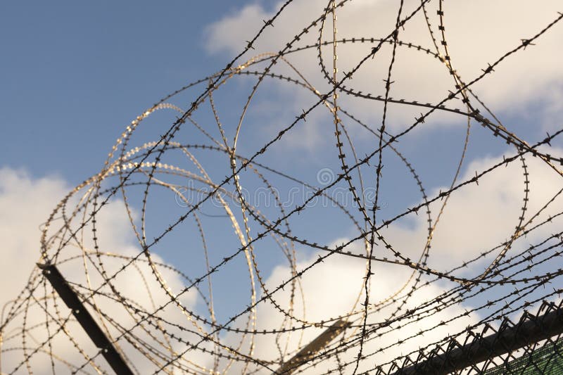 Security barbed wire fence stock photo. Image of prison - 6315712