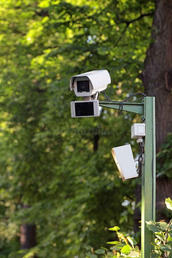 Security cam stock image. Image of observe, leaves, safekeeping - 35682773