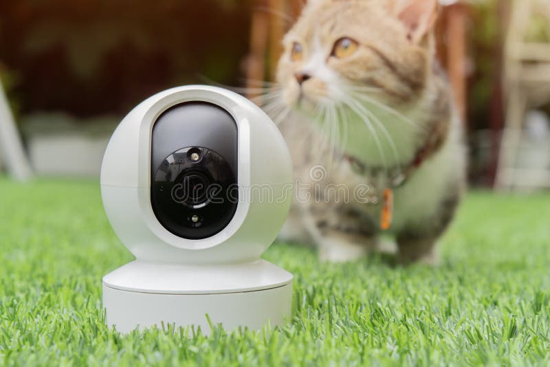 Security Camera CCTV Setting Outdoor in the Garden with Blurred of ...