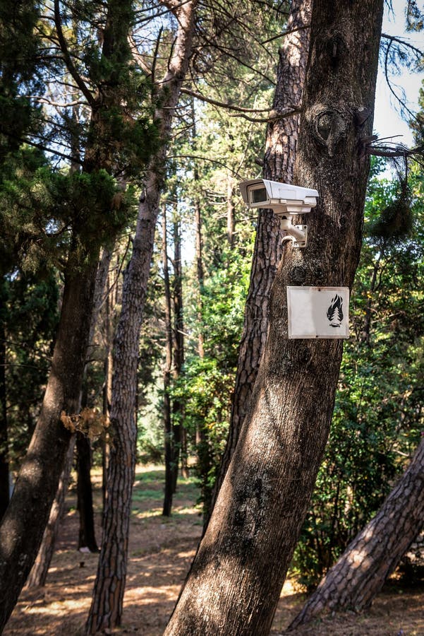 Security Camera in the Forest Stock Image - Image of outdoor, guard ...