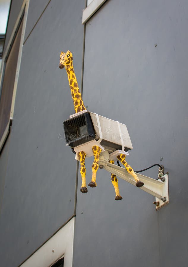 Security Camera with Giraffe Stock Image - Image of camera, property ...