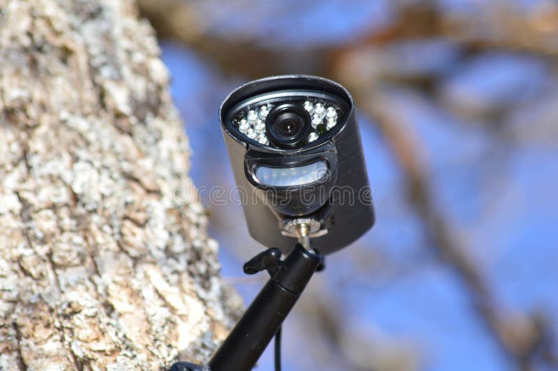 Security Camera on a Tree with a Blurred Background Stock Image - Image ...
