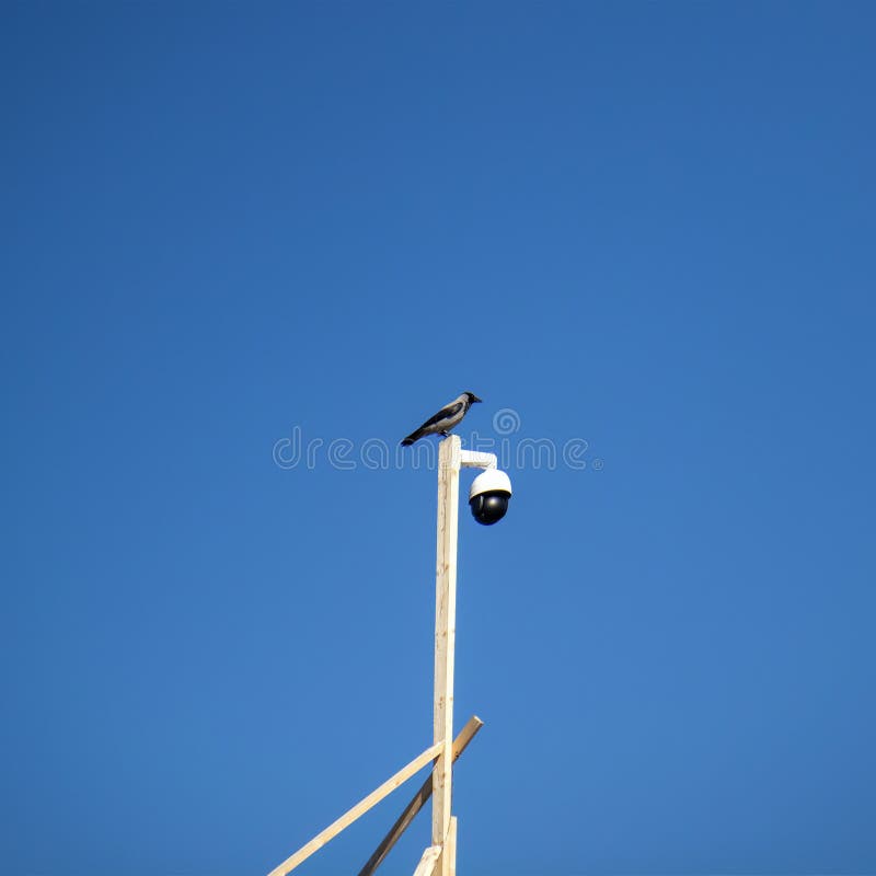 Security Cameras Scan the Street Stock Image - Image of digital ...