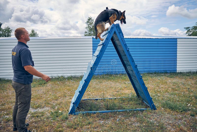 Agility Aframe Stock Photos - Free & Royalty-Free Stock Photos from ...