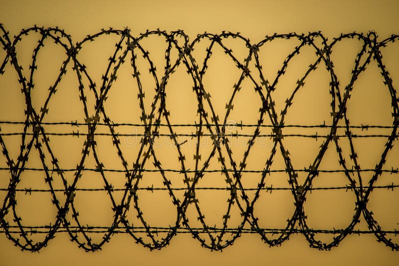 Security fence barbed wire stock photo. Image of design - 194389764