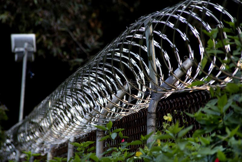 Security wire fence stock photo. Image of freedom, cage - 126827894