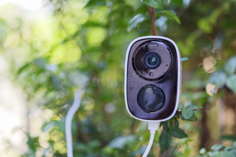 Security IP CCTV Camera Using Solar Energy Install on the Tree Stock ...