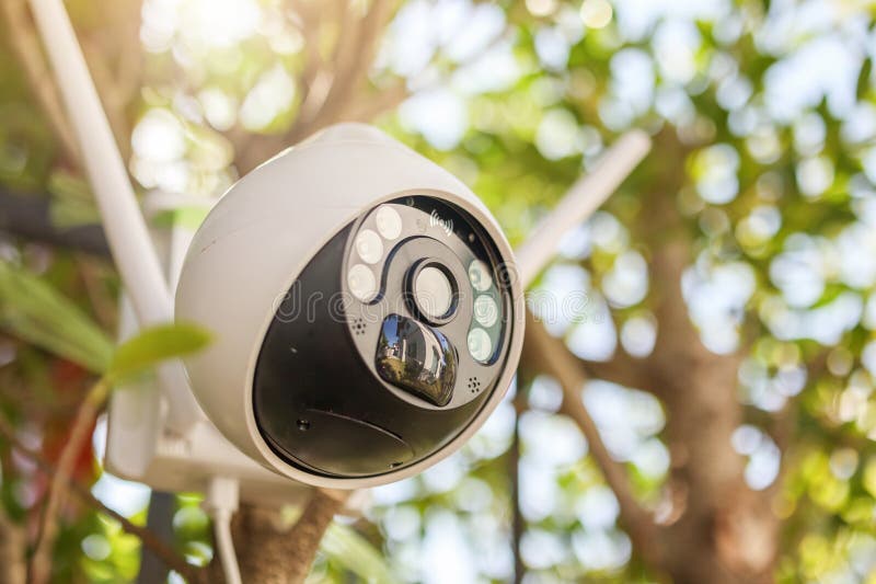Security IP CCTV Camera Using Solar Energy Install on the Tree for Home ...