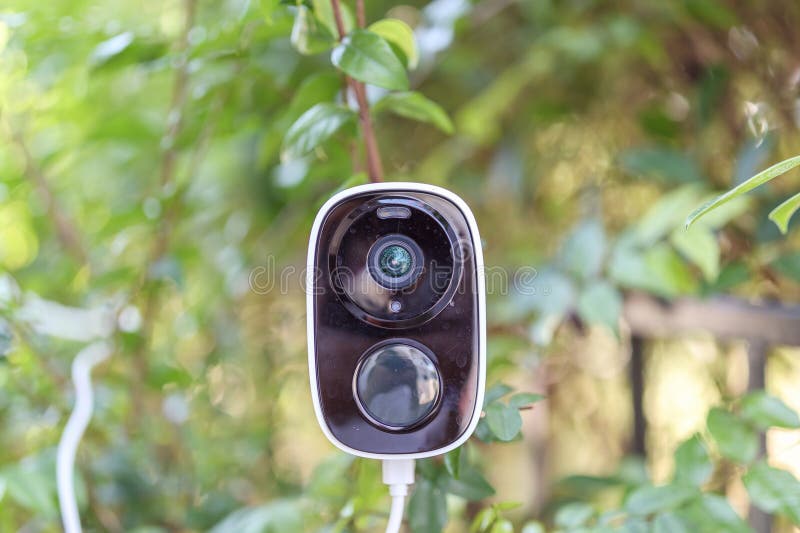 Security IP CCTV Camera Using Solar Energy Install on the Tree Stock ...