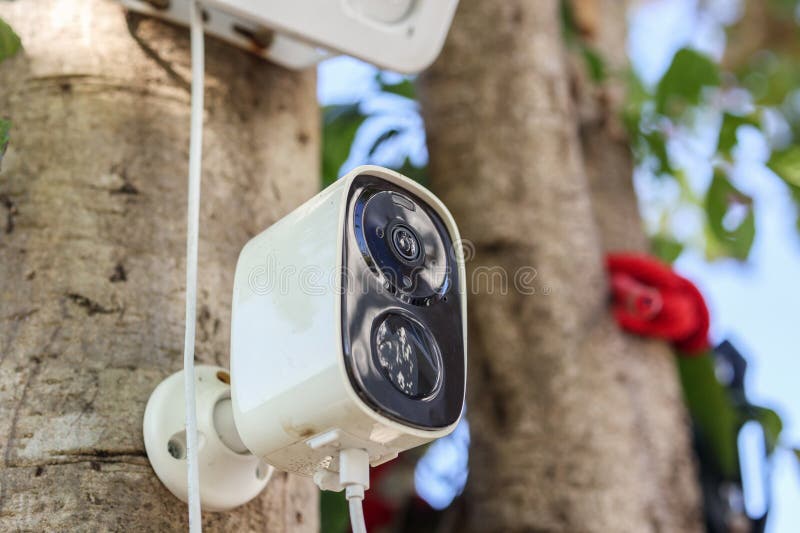 Security IP CCTV Camera Using Solar Energy Install on the Tree for Home ...