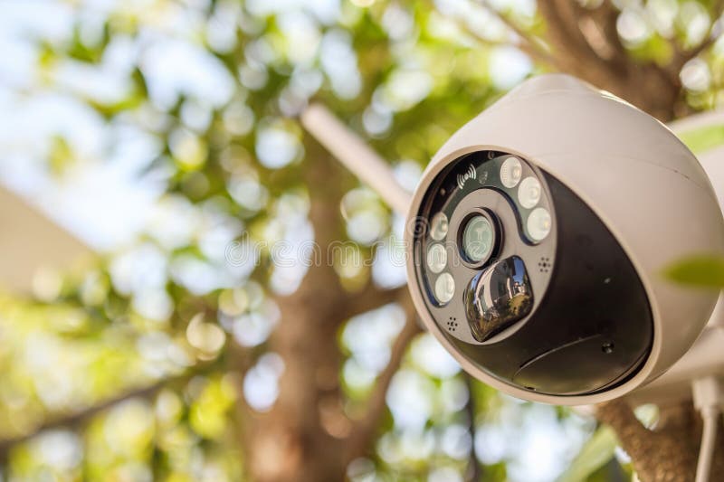 Security IP CCTV Camera Using Solar Energy Install on the Tree for Home ...