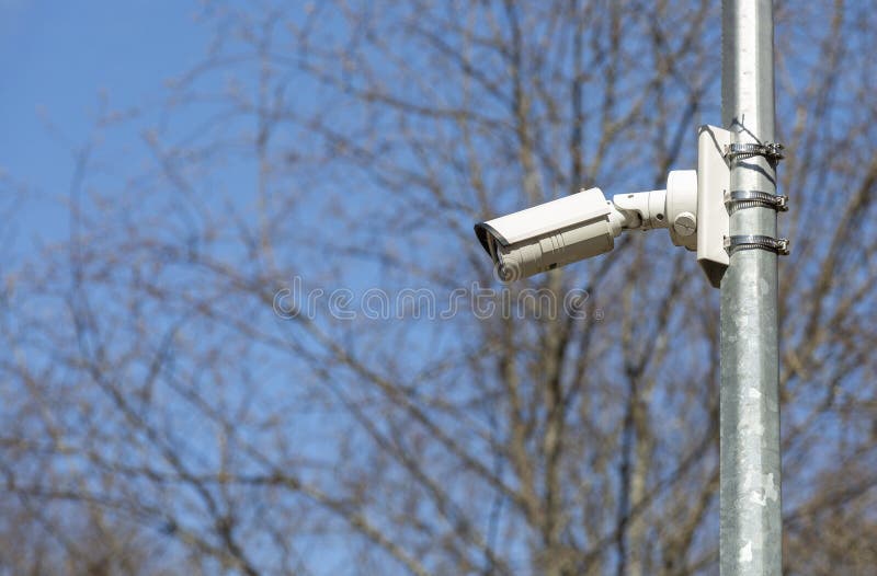 Security Surveillance Camera Near Forest. Security. Safe Life Concept ...