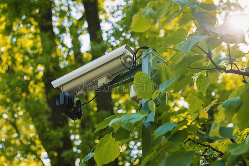 The Surveillance Camera is Hanging on Tree. Video Surveillance System ...