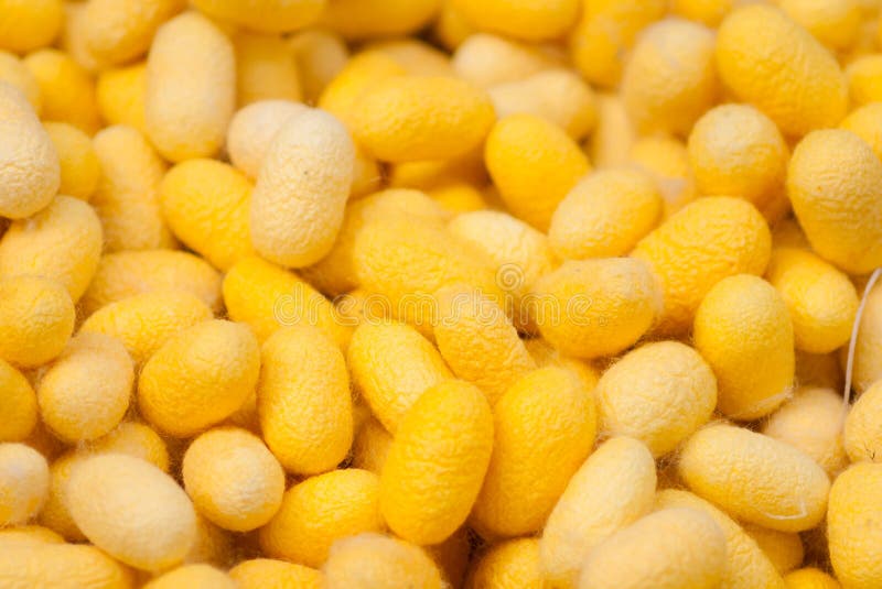 Seda foto de archivo. Imagen de hecho, seda, material - 40015862