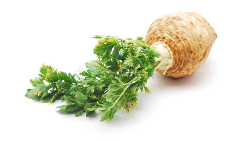 Sedano fotografia stock. Immagine di fresco, ingrediente - 62634490