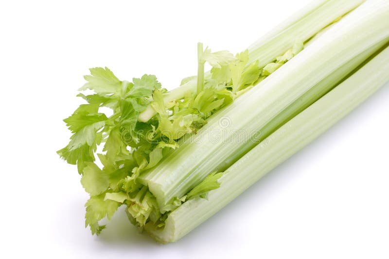 Sedano immagine stock. Immagine di vista, alimento, vegetariano - 5004383