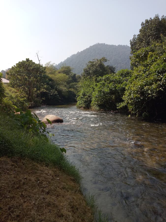 Sedim river stock image. Image of malaysia, river, environment - 110325059