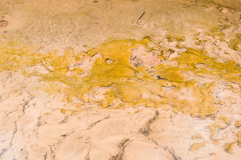 Sediment and bacteria stock photo. Image of wetland, shallow - 40725562