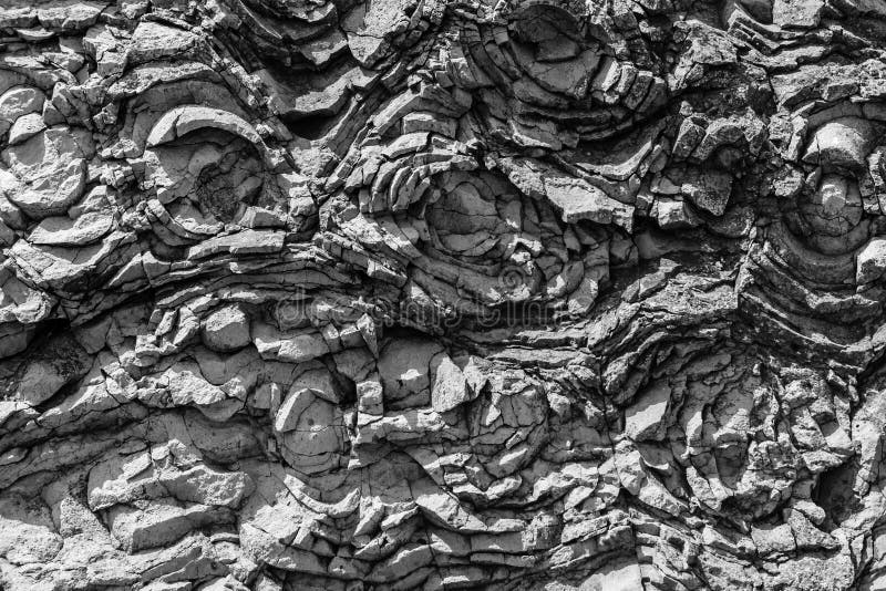 Sedimentary Rock. Background. Stock Photo - Image of texture, fossil ...