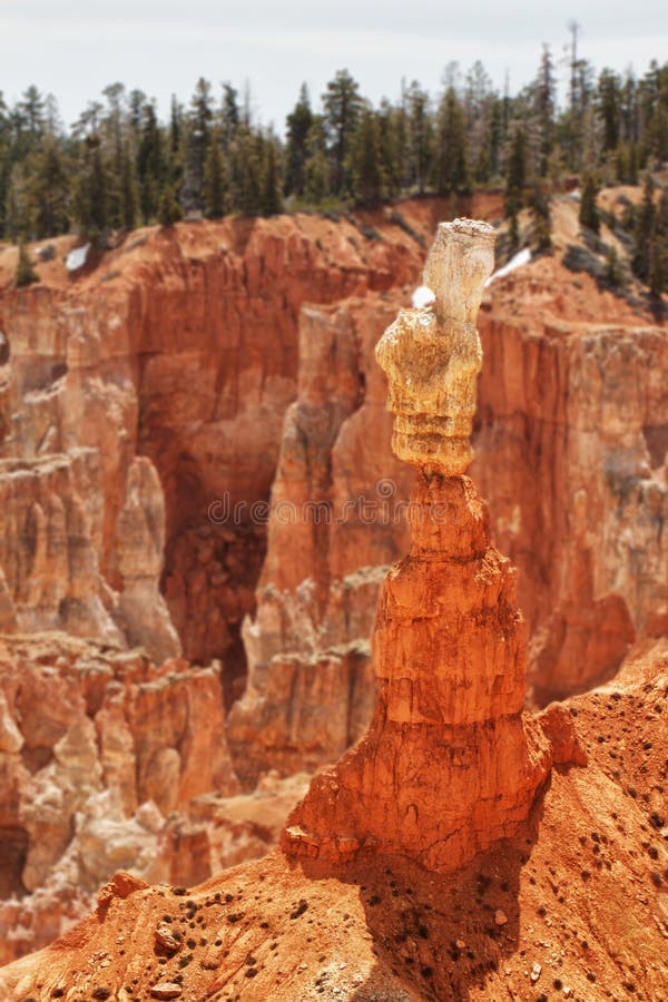 Sedimentary Rock Formations in Bryce Canyon Park Stock Photo - Image of ...