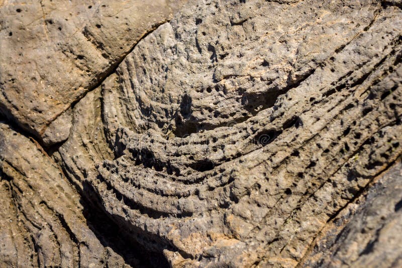 Sedimentary Rock. Background. Stock Photo - Image of structure, surface ...