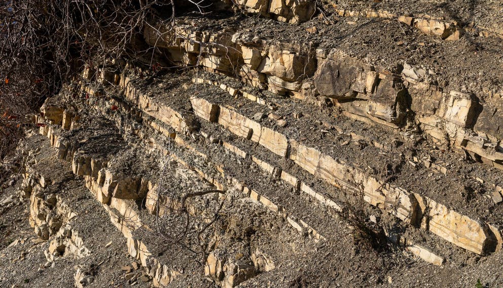 Sedimentary Rocks Background. Close-up of Sedimentary Limestone ...